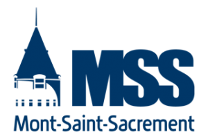 MSS » logo